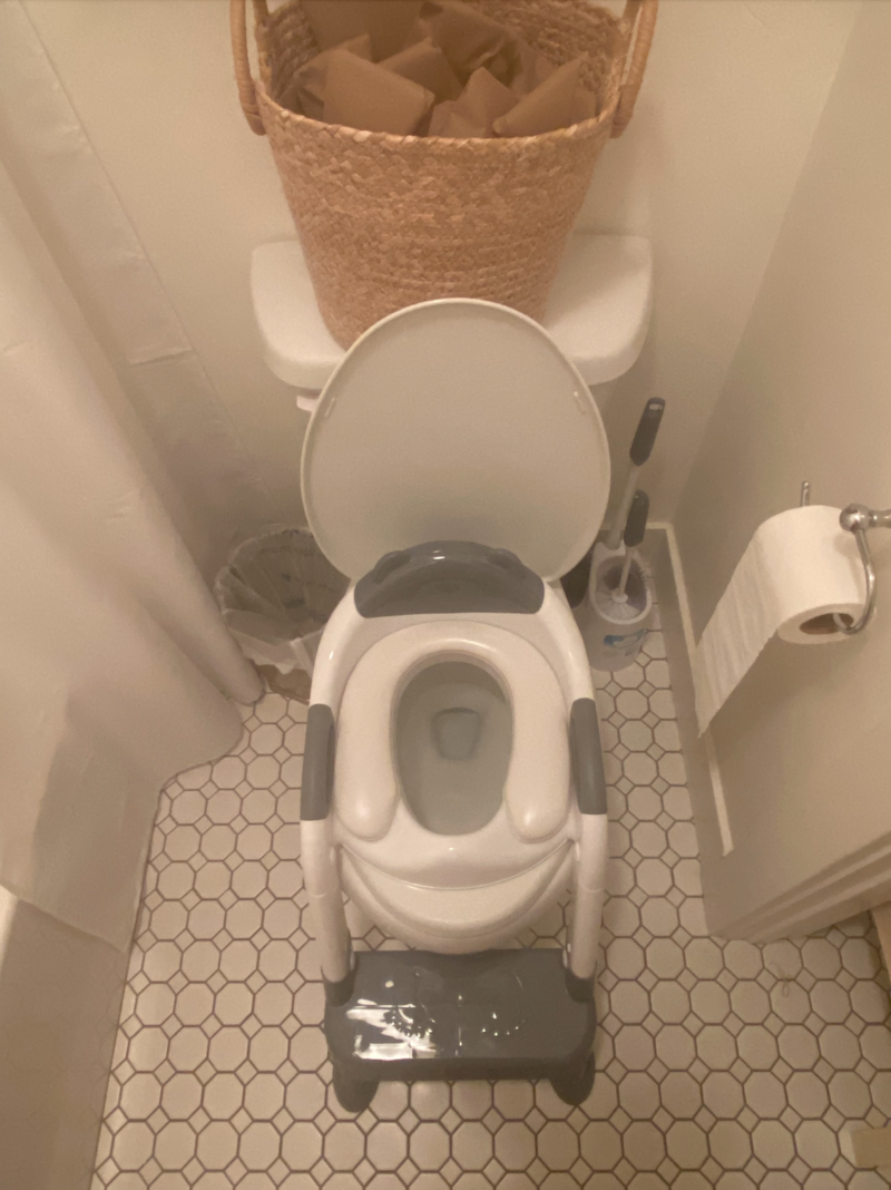 Potty Training Must Haves - Motherhood.