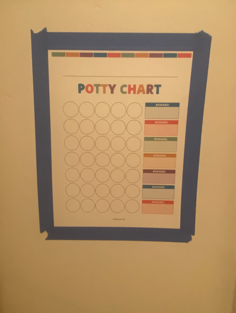 Potty Training Must Haves - Motherhood.